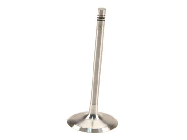 Intake Valve - BMW N55 / N20 | Park Auto Motorsports
